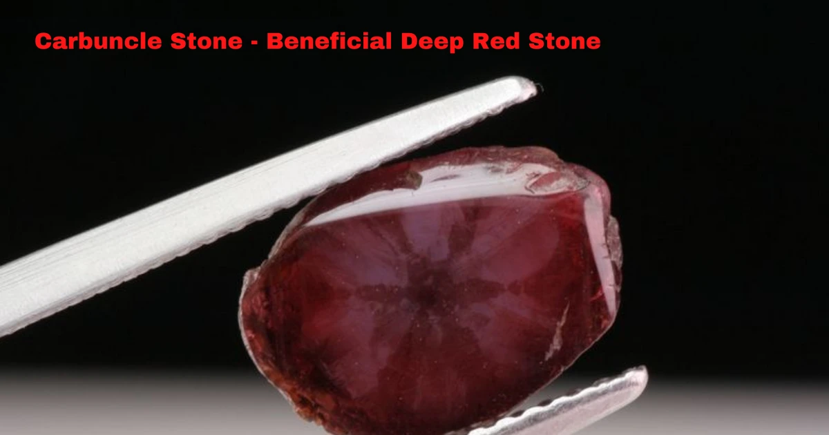 Carbuncle Stone - Beneficial Deep Red Stone