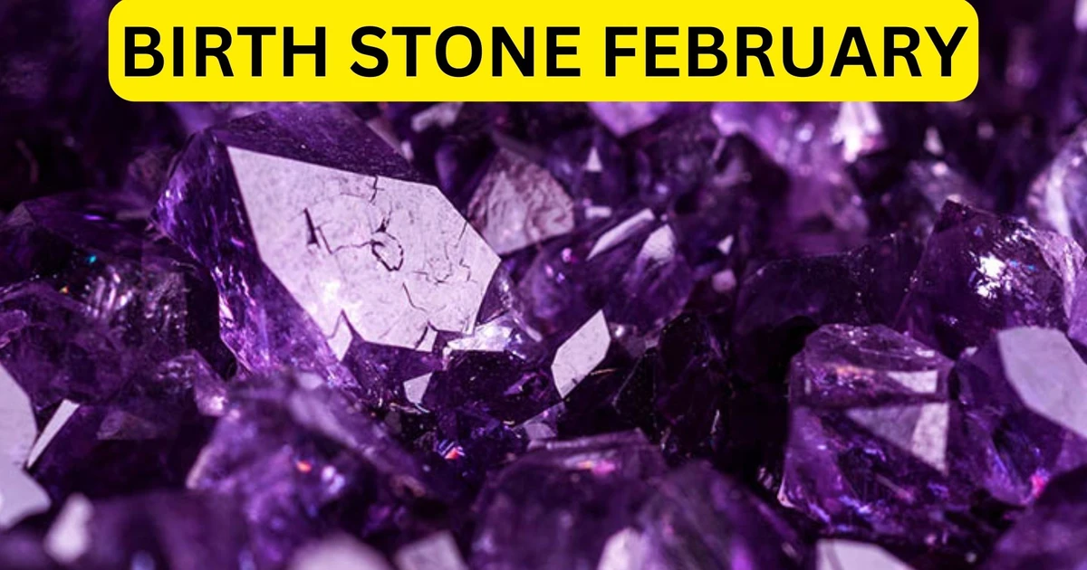 Birth Stone February - Wear To Prevent Intoxication