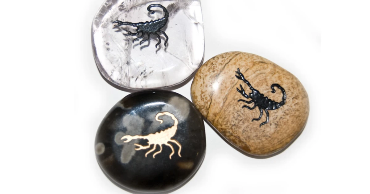 Scorpion Stone - Your Stone Selections