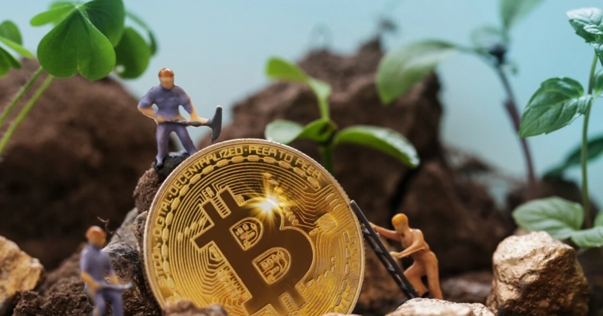 What Are The Environmental Impacts Of Crypto Gem Mining And Investing ...