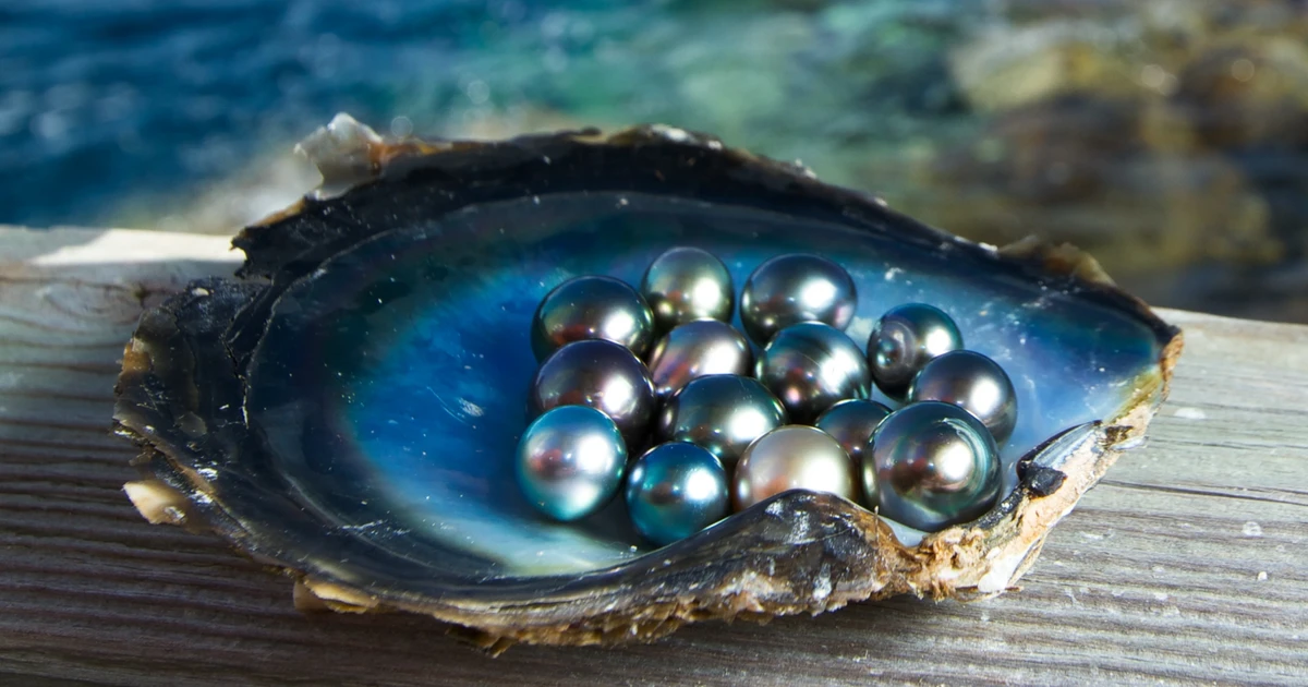 Types Of Pearls - Five Luxurious Pearls To Elevate Your Jewelry Collection