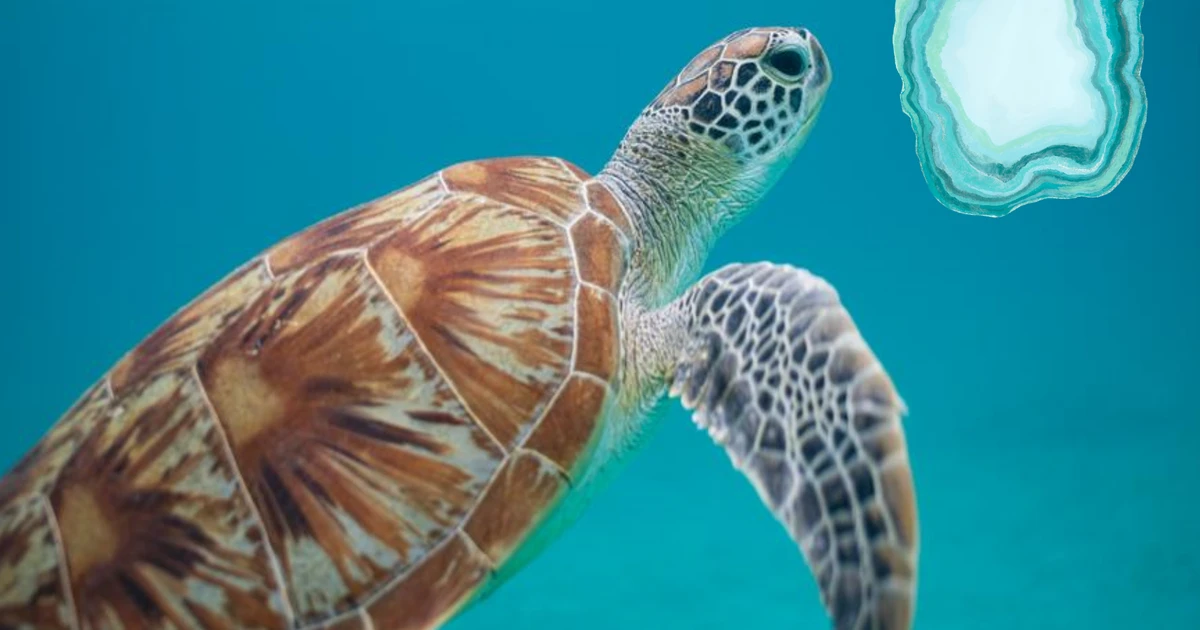 Exploring Gemstone Sea Creatures - Symbolism And Meanings Behind