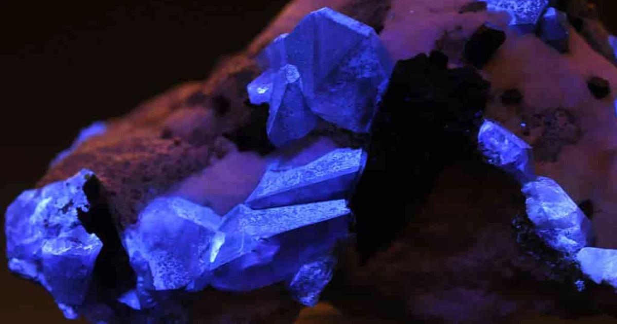 World's Rarest Gems In Los Angeles Are On View Until April 21, 2024