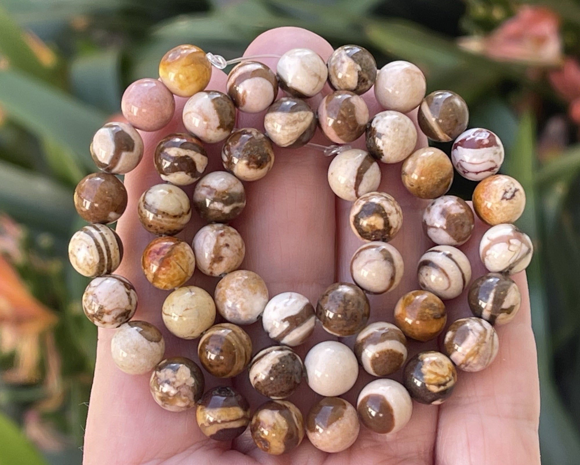 Zebra Agate - Properties, Meanings, Value & More